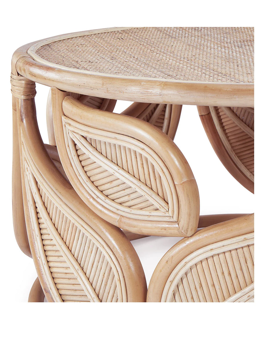 PALMERA Rattan Coffee Table | Neutral Shade